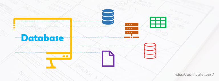 CMS vs Database: Understanding the Difference - Technocript.com